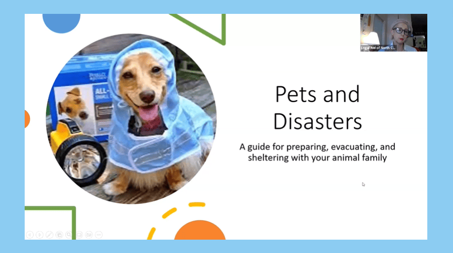Pets Disaster Preparedness - Legal Aid of North Carolina